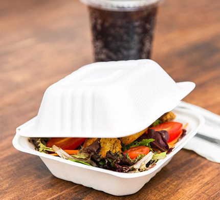 Bagasse food packaging: An Eco-friendly Solution For Sustainable ...